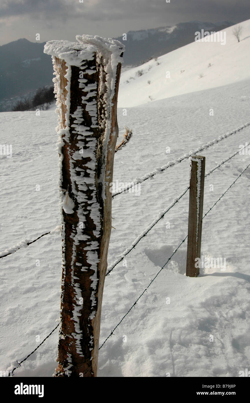 Pole frost cold winter snow vertical barbed wire fence wind outdoor ...