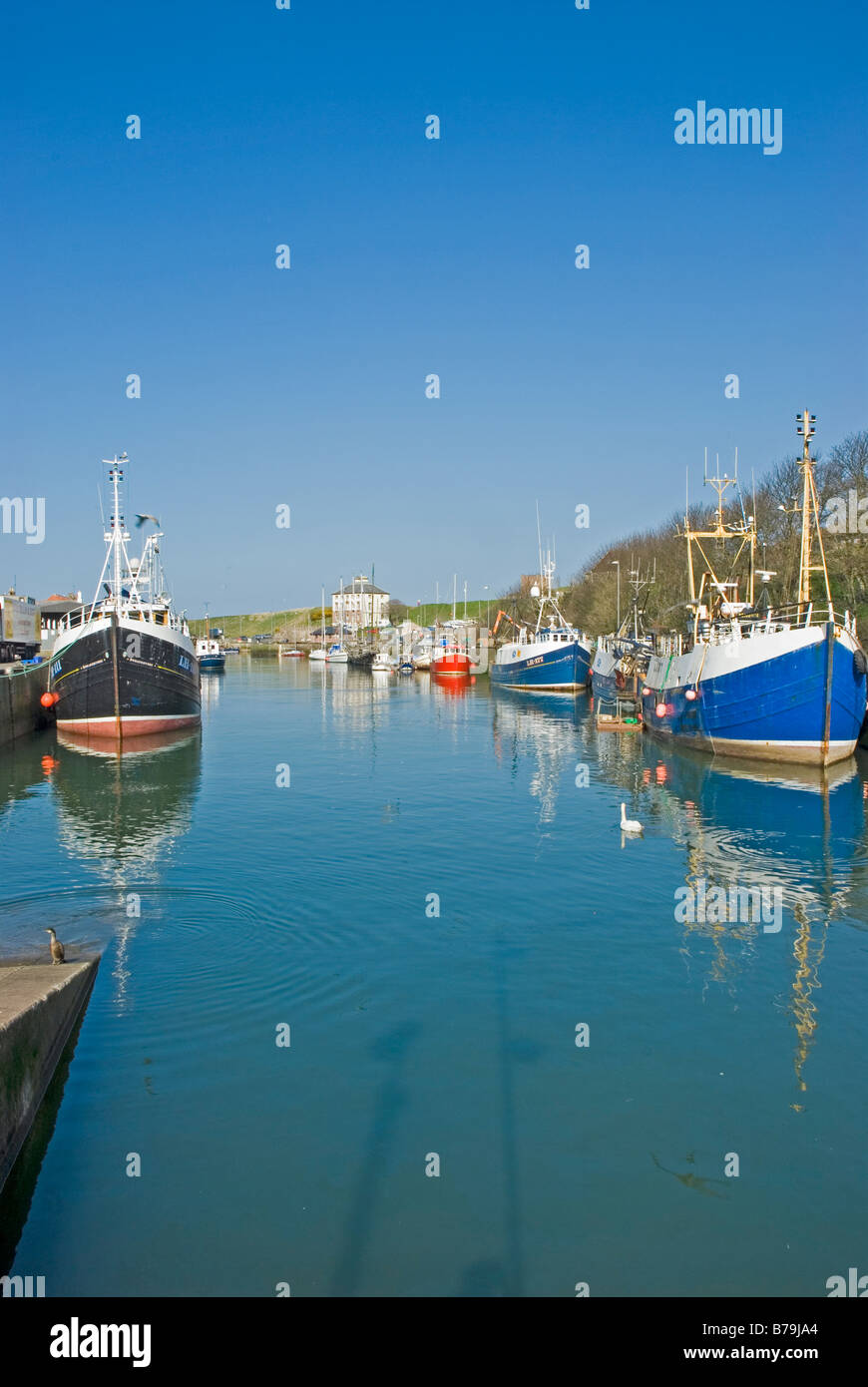 Eyemouth harbour fishing boats hi-res stock photography and images - Alamy