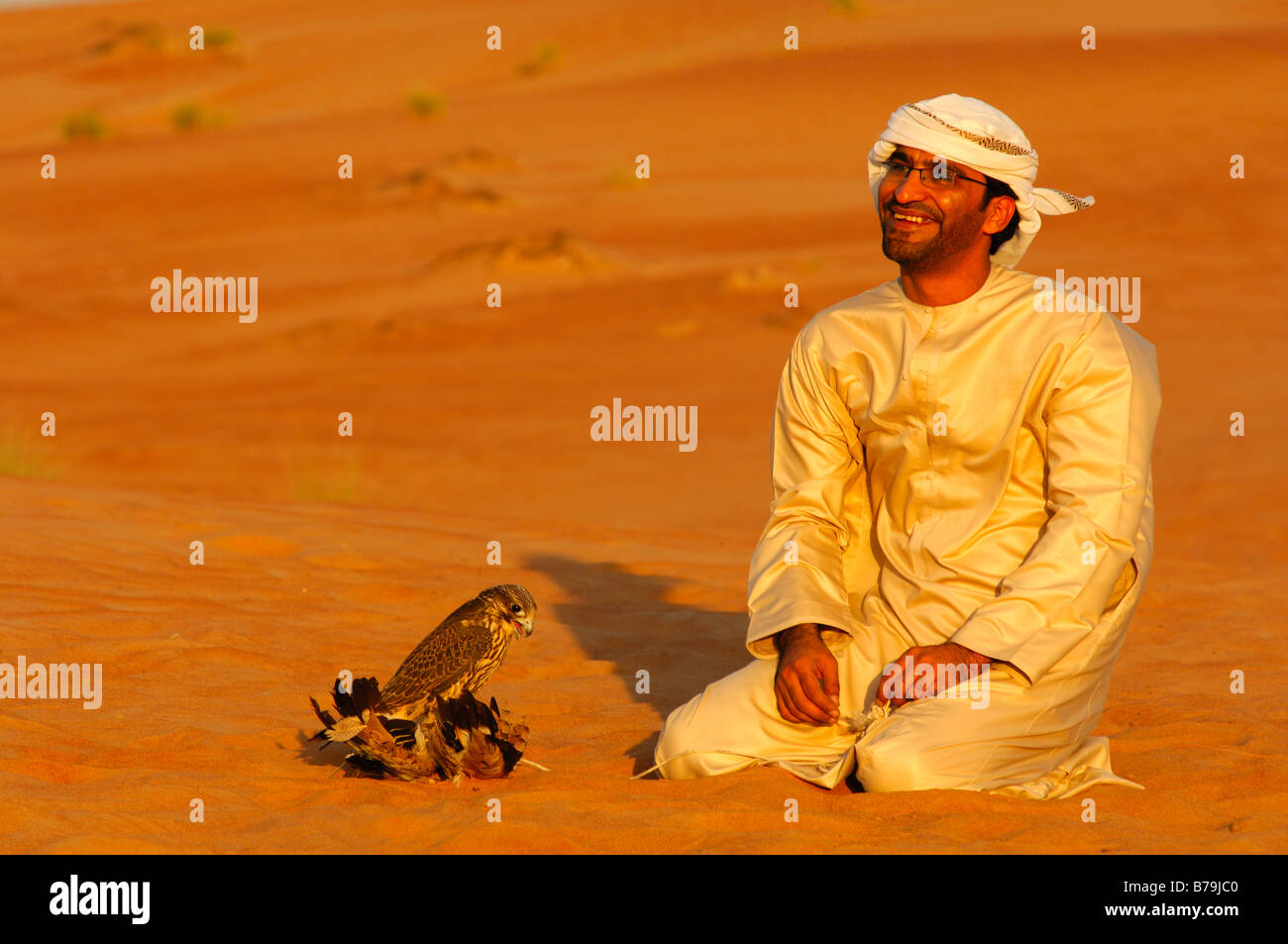 Arab falconer sits with his hunting falcons in the desert Dubai United ...
