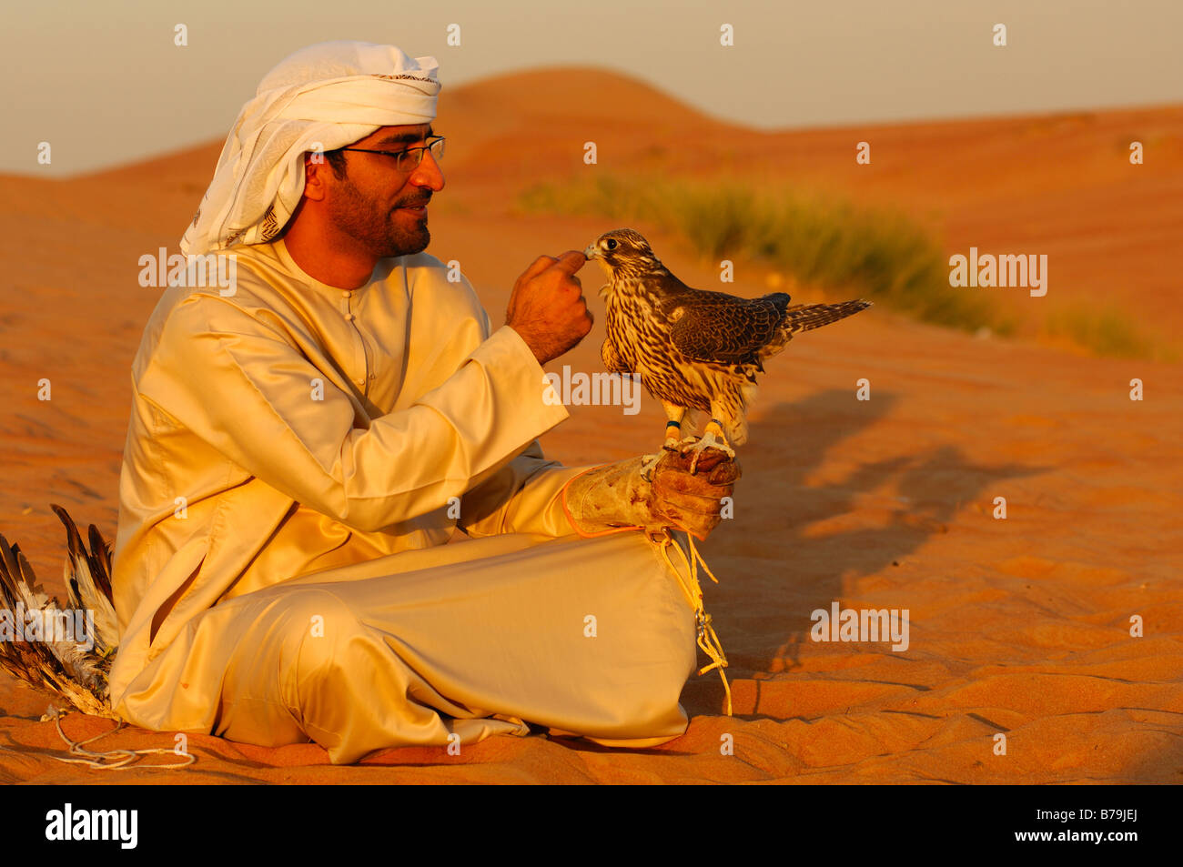 Arab falconer sits with his hunting falcon in the desert sand after a ...