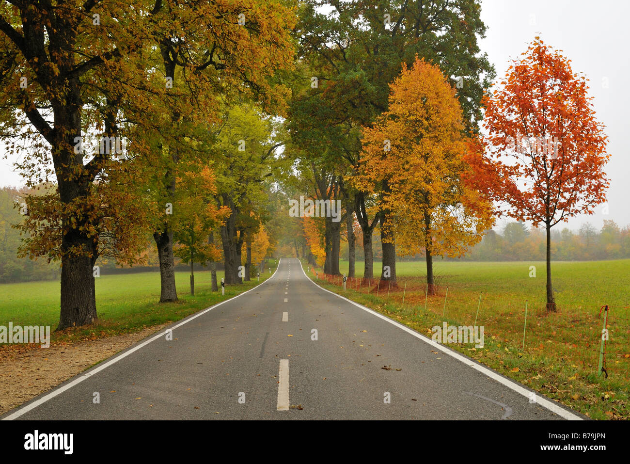 Fridingen High Resolution Stock Photography and Images - Alamy