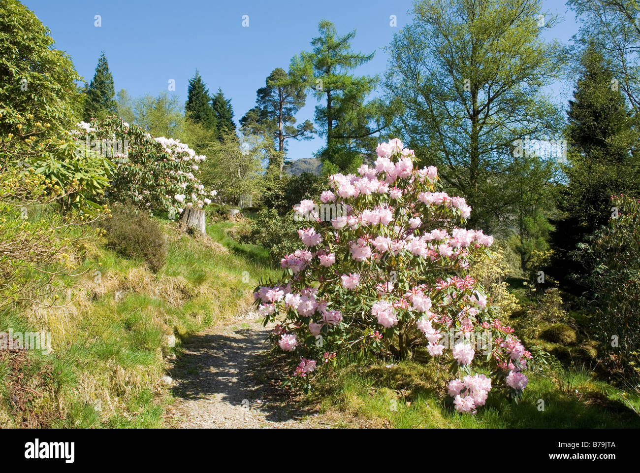 Benmore botanic gardens hi-res stock photography and images - Alamy