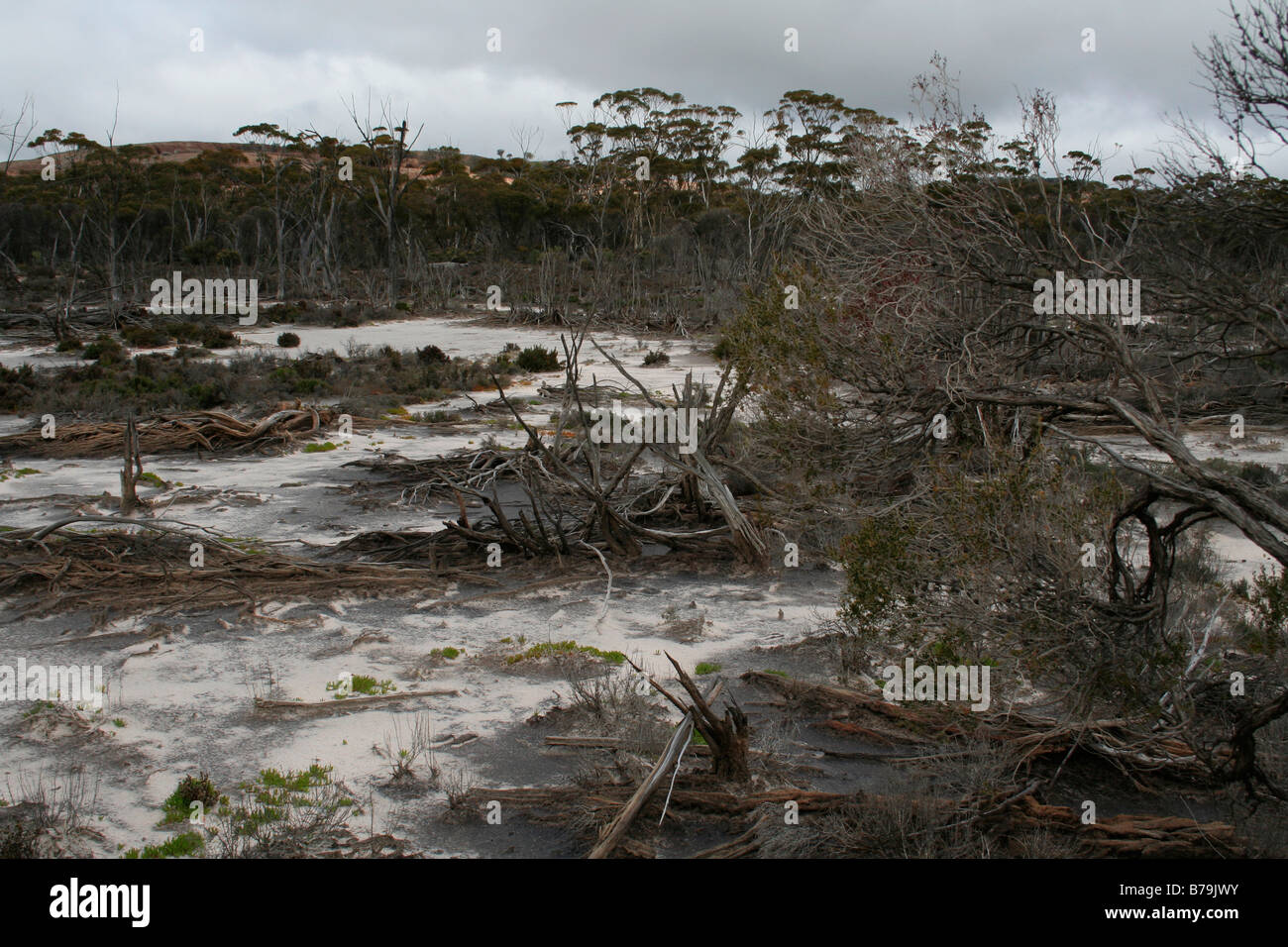 Desert scrubland hi-res stock photography and images - Alamy