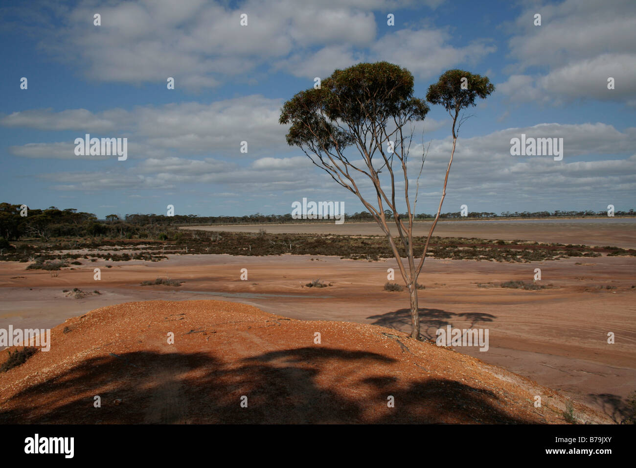 Barren landscape in WA Stock Photo - Alamy
