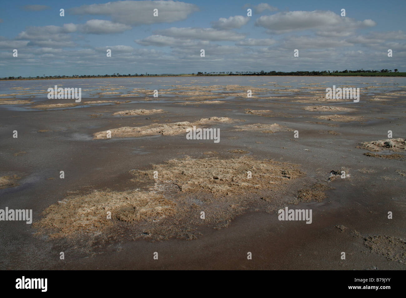 Salt lake with pools of water Stock Photo - Alamy