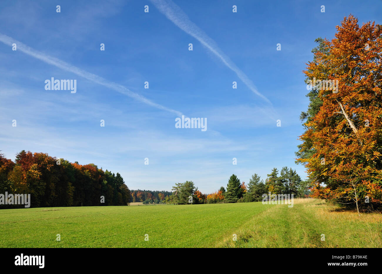 Autumnal landscape near Russberg Risiberg, Baden-Wuerttemberg, Germany ...