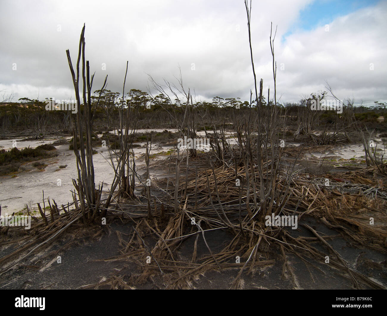 Salt leaching hi-res stock photography and images - Alamy