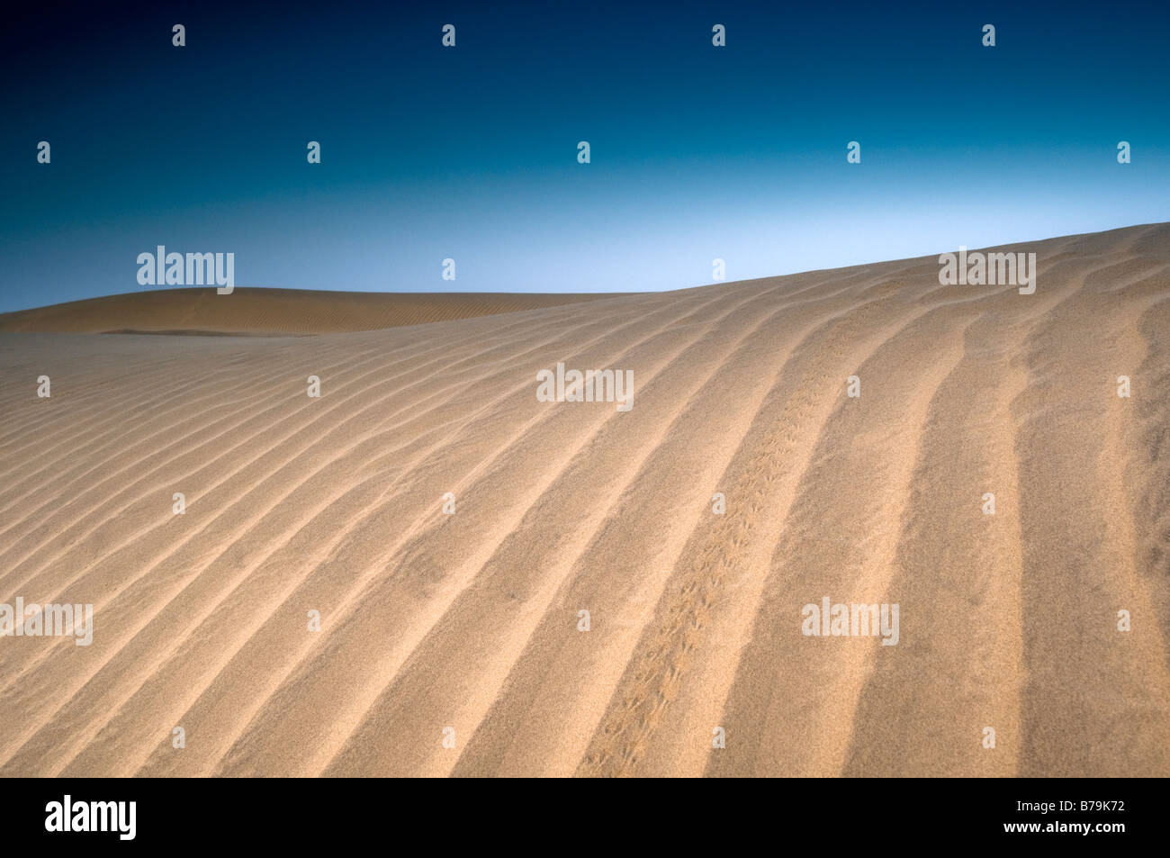 Sand dunes - Thar Desert. Jaisalmer. Rajasthan. India Stock Photo - Alamy