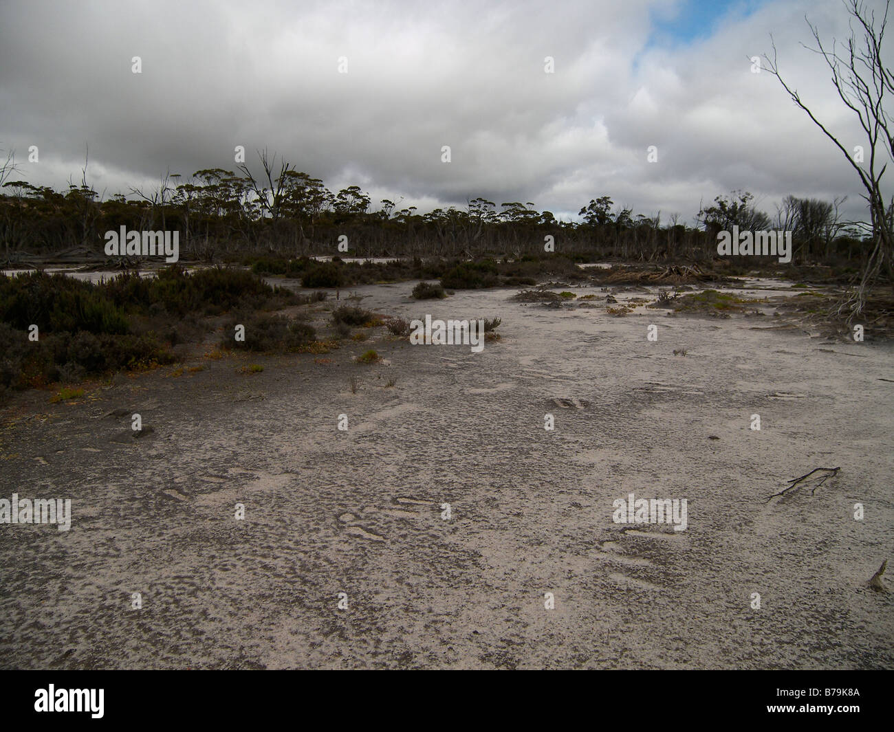 Barren earth hi-res stock photography and images - Alamy