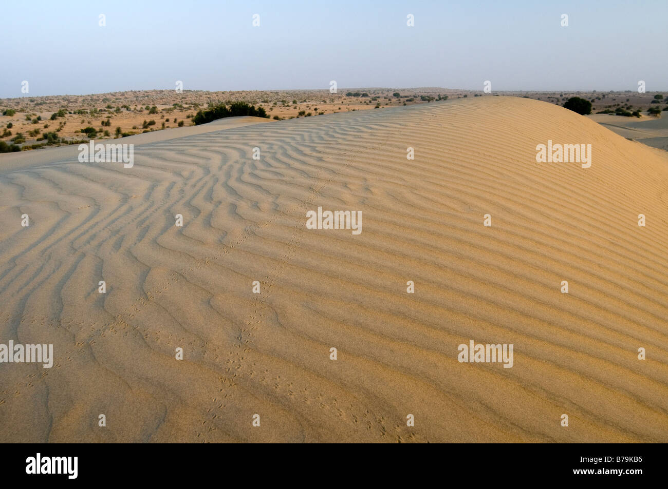 Sand dunes - Thar Desert. Jaisalmer. Rajasthan. India Stock Photo - Alamy