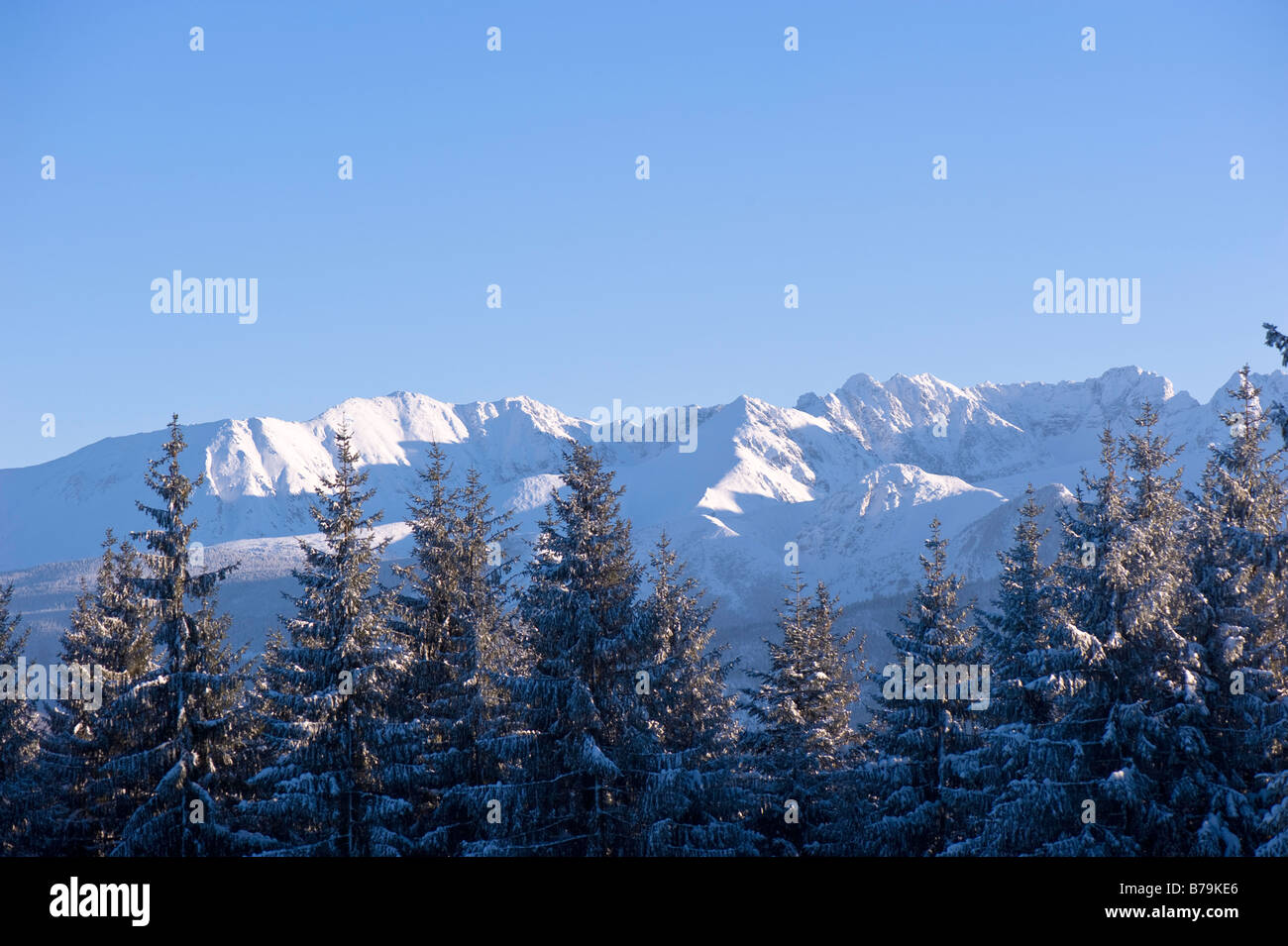 View of Gubalowka Hill Zakopane Tatra Mountains Podhale Region Poland ...