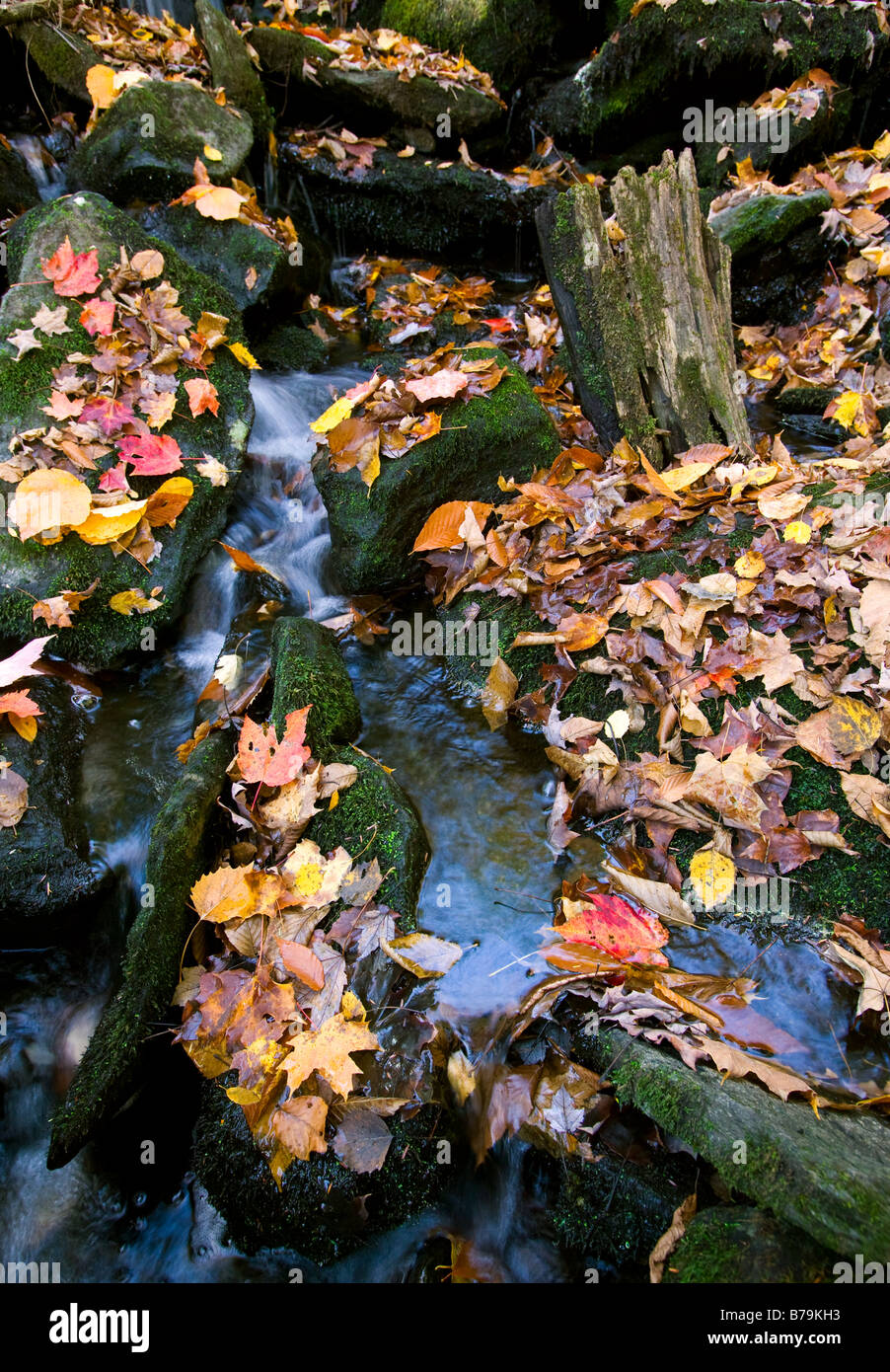 Stream of vivid colors hi-res stock photography and images - Alamy
