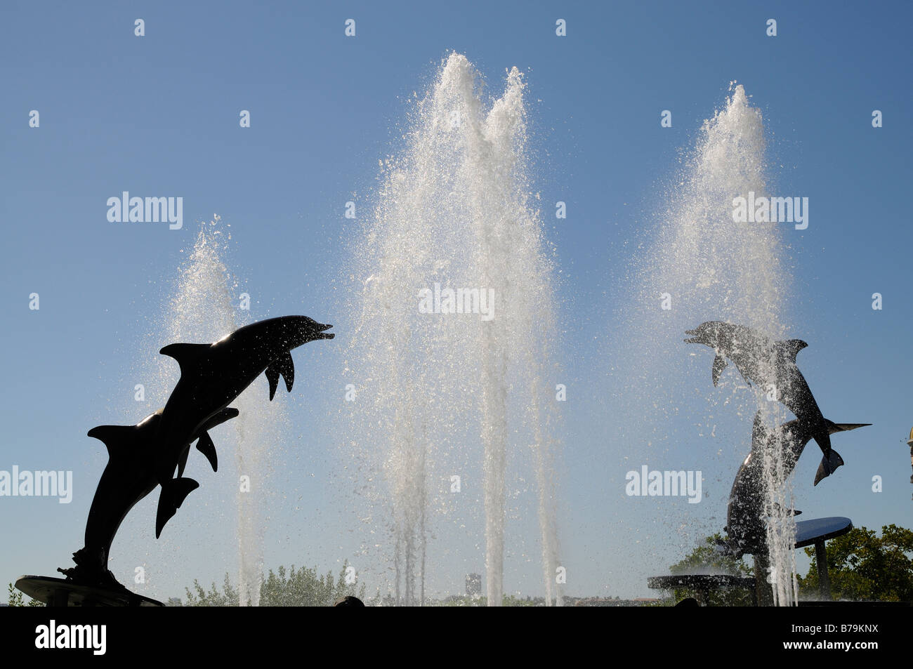Leaping dolphins sculpture water fountain feature on the bayfront ...