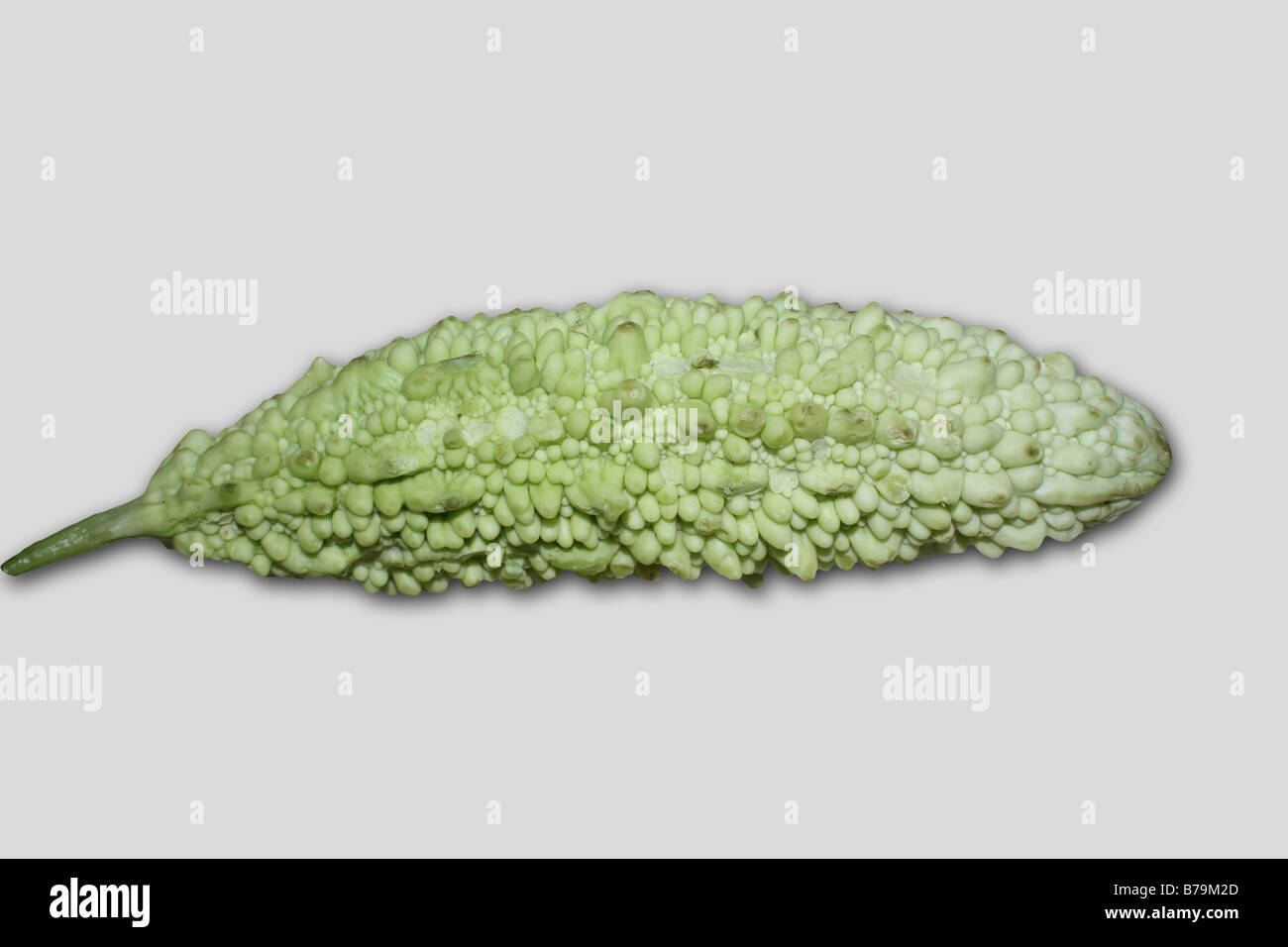 Bittergourd on white background Stock Photo - Alamy