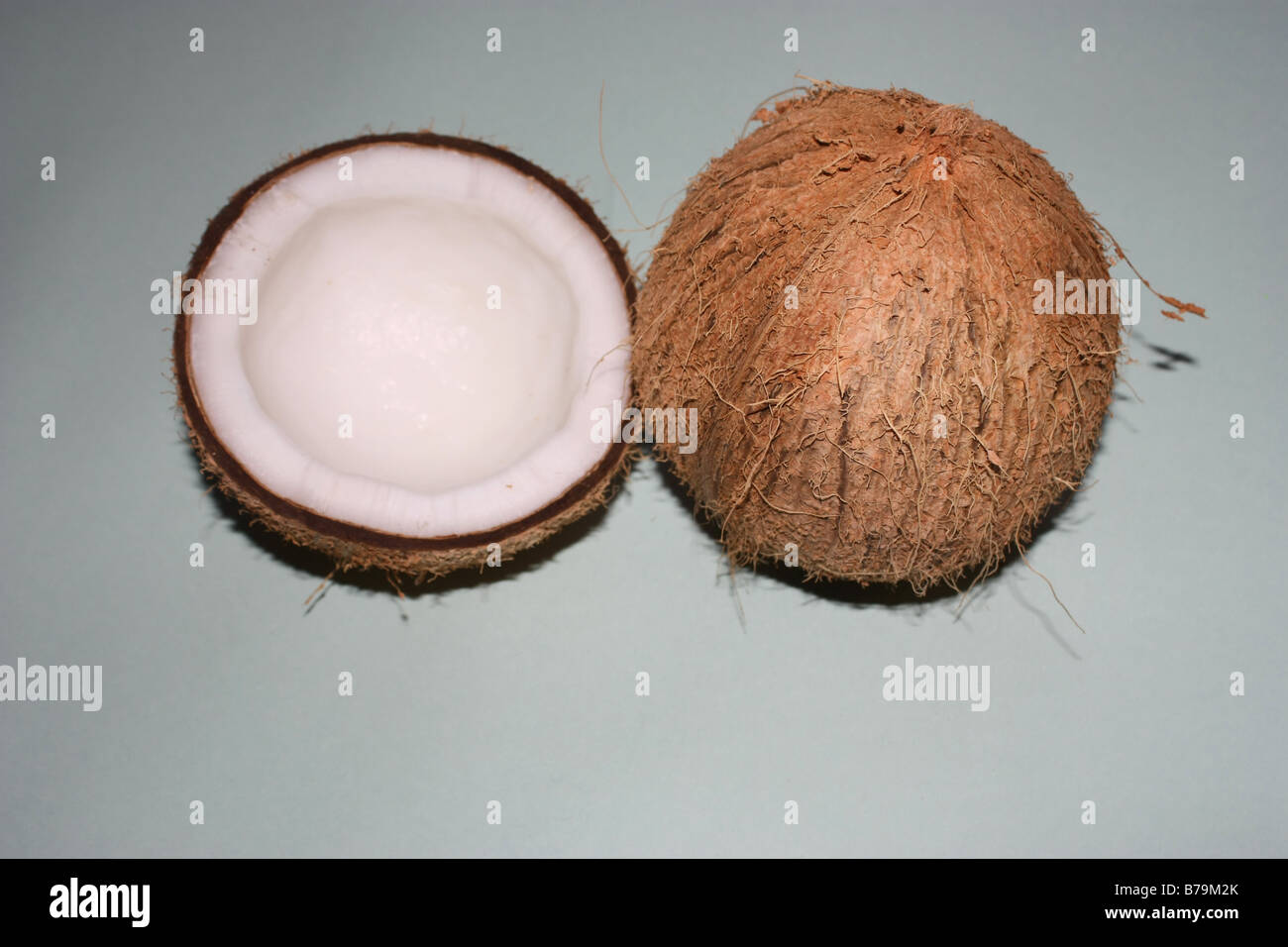 coconut half and full in white background Stock Photo - Alamy