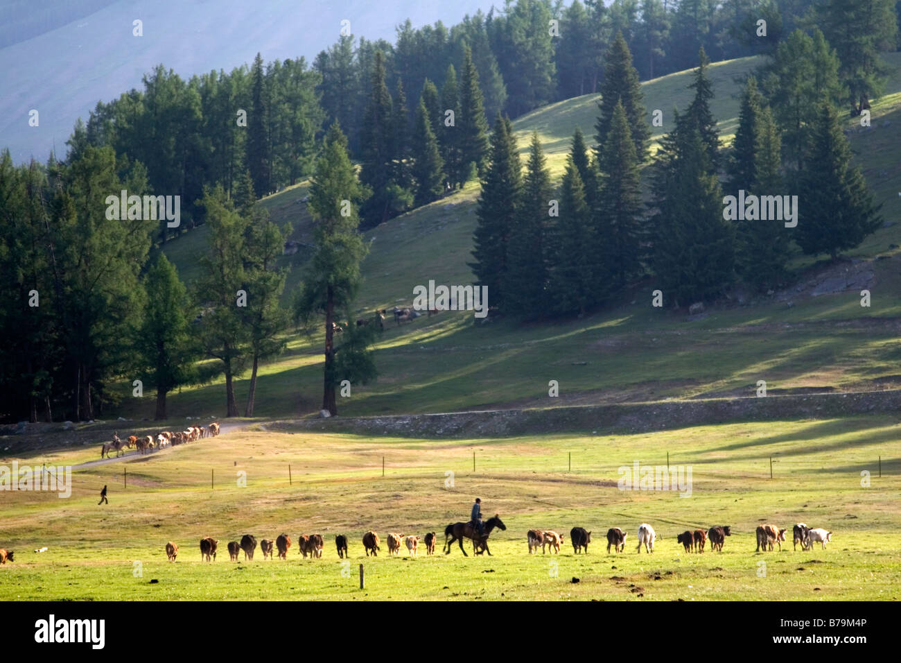 Agricultura asia hi-res stock photography and images - Alamy