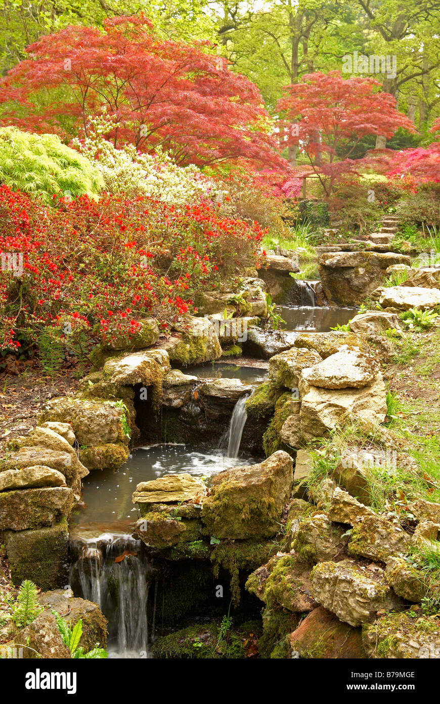 Azaleas and rhododendrons by the pond, Exbury Gardens, Hampshire ...