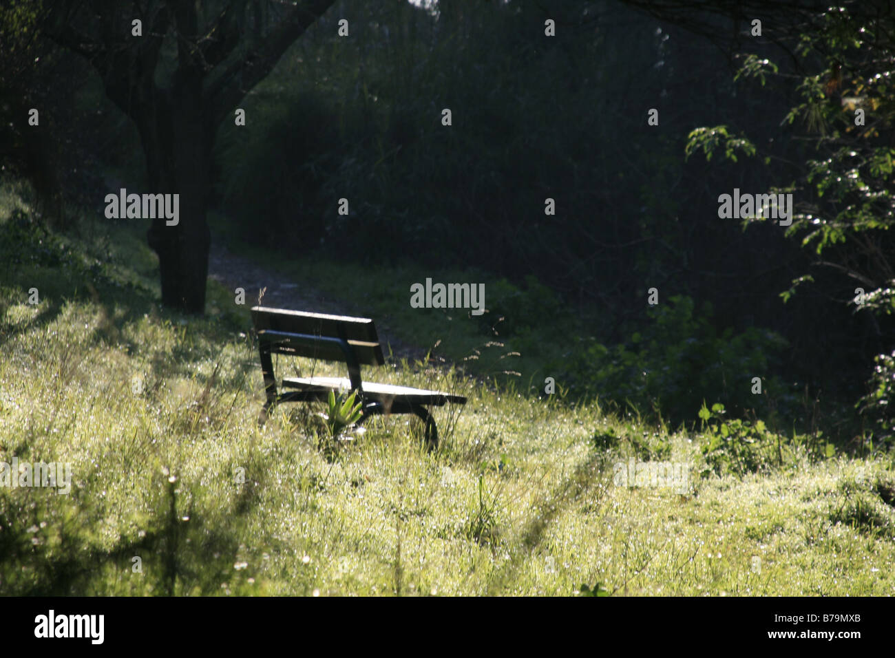 one bench in countryside Stock Photo - Alamy
