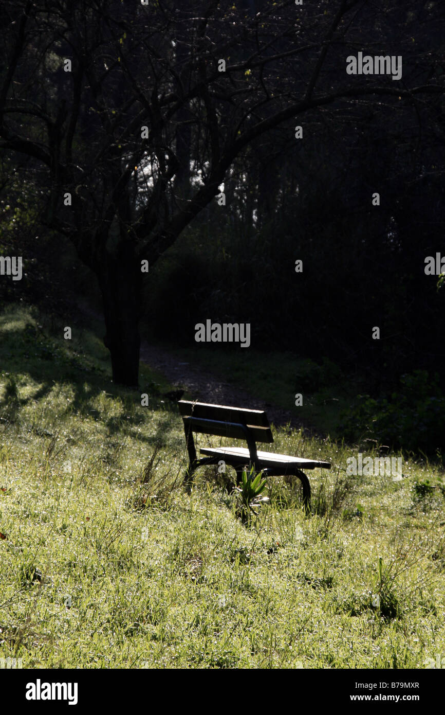 one bench in countryside Stock Photo - Alamy