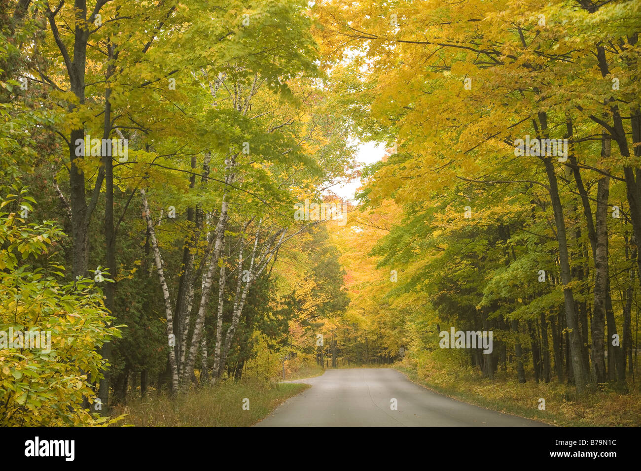 WISCONSIN - Autumn colors brighten trees along the roads of Peninsula ...