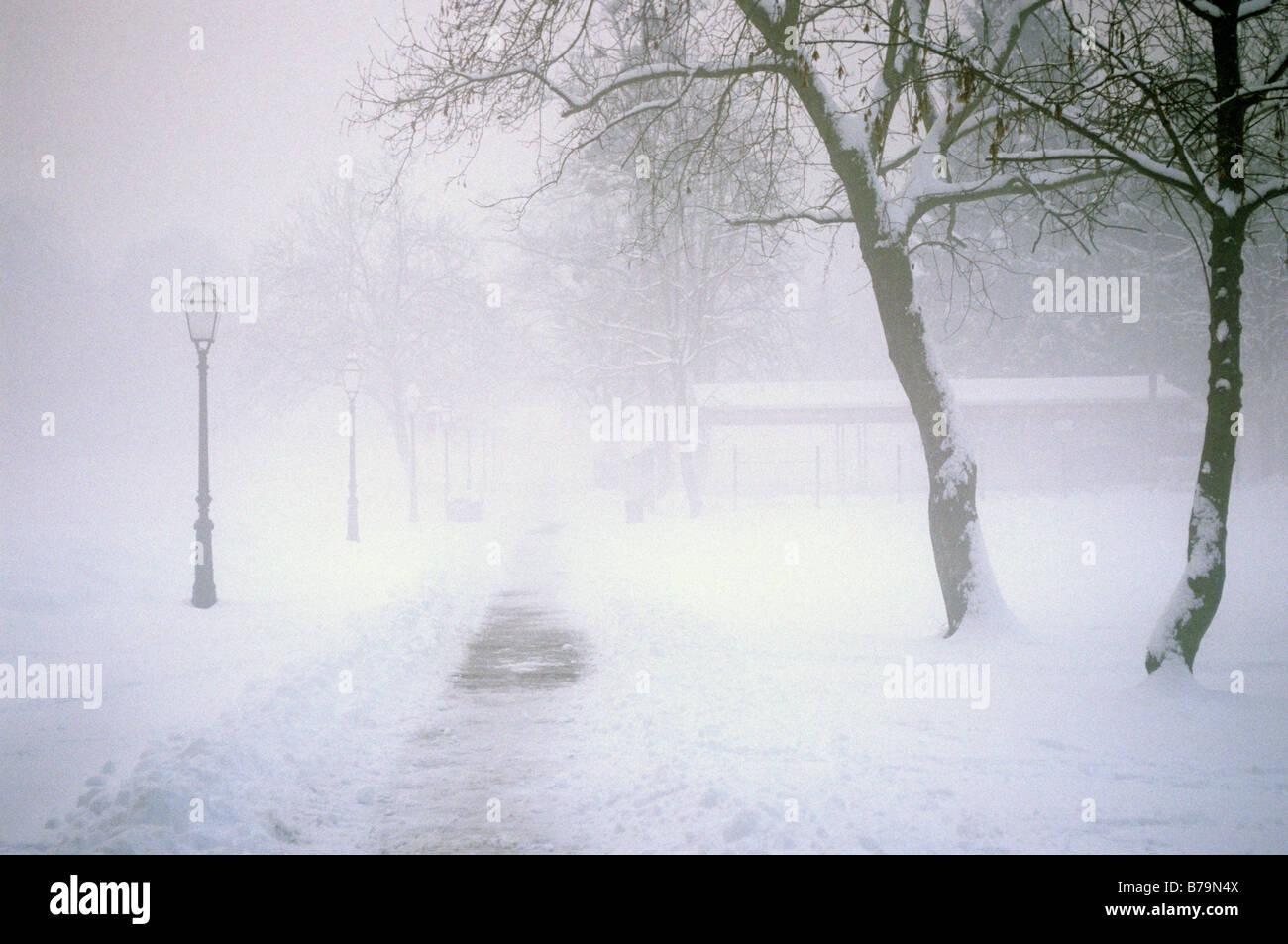 Lost in mist scenery hi-res stock photography and images - Alamy
