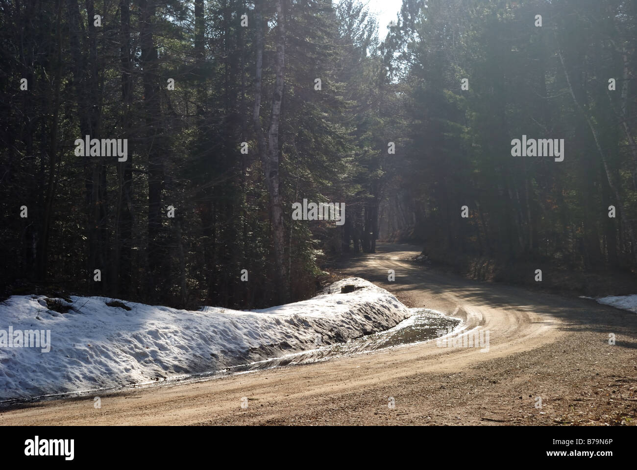 Minnesota forest road in late winter Stock Photo - Alamy