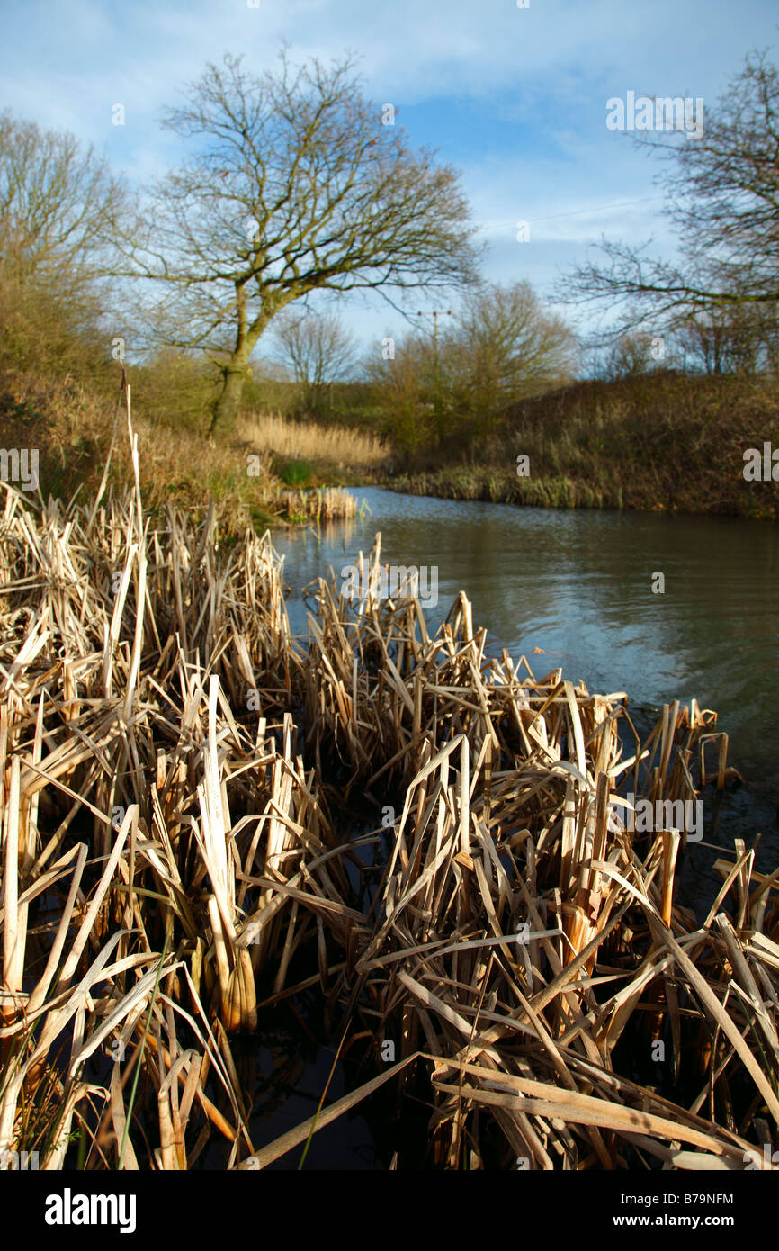 Farm Pond in Winter Stock Photo - Alamy