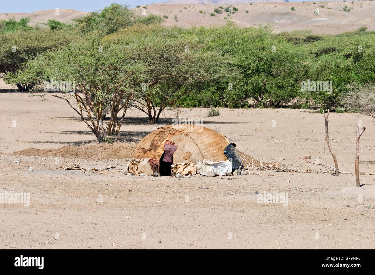 Afar ethiopia nomad hi-res stock photography and images - Alamy