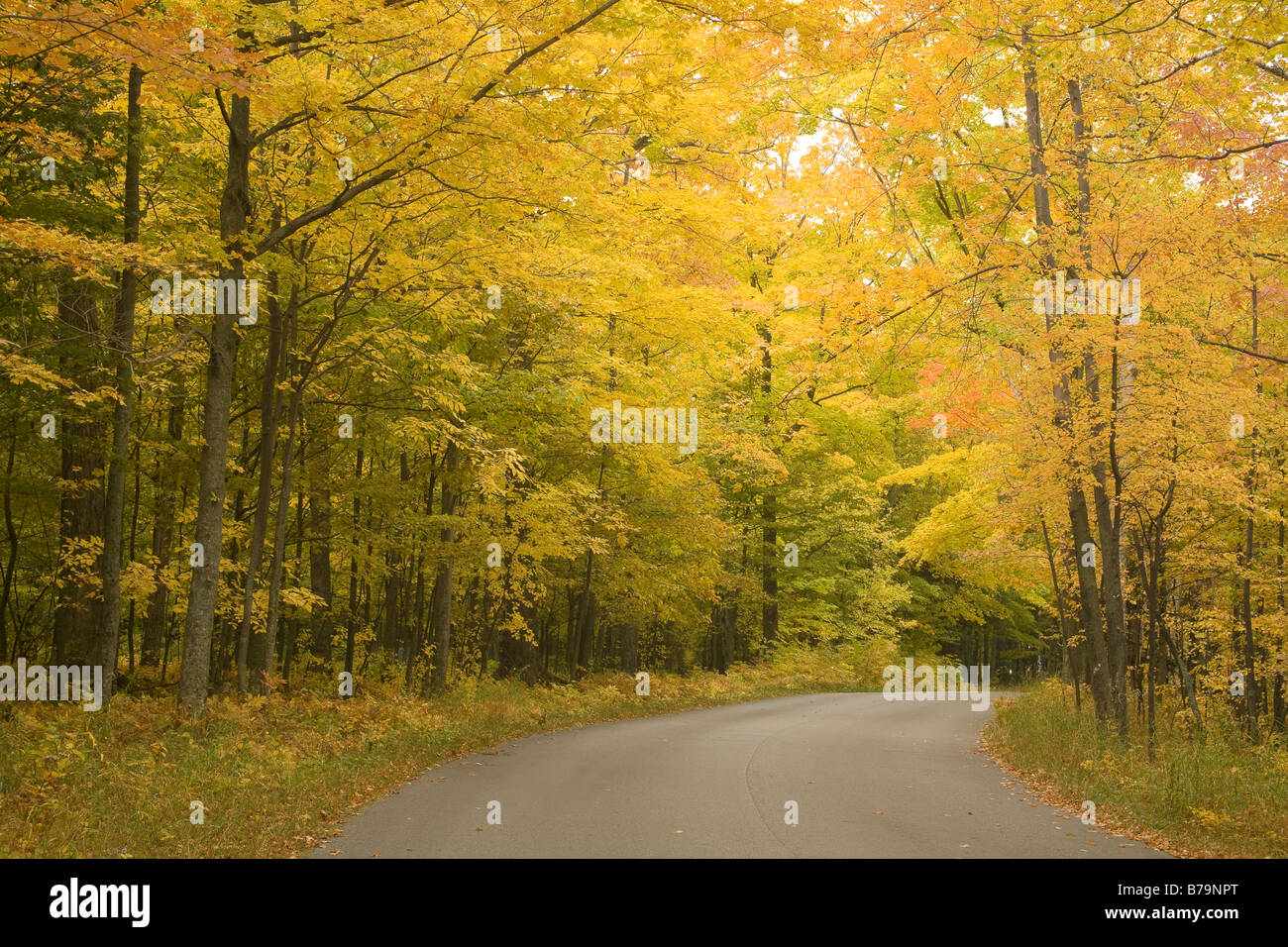 WISCONSIN - Autumn colors brighten trees along the roads of Peninsula ...