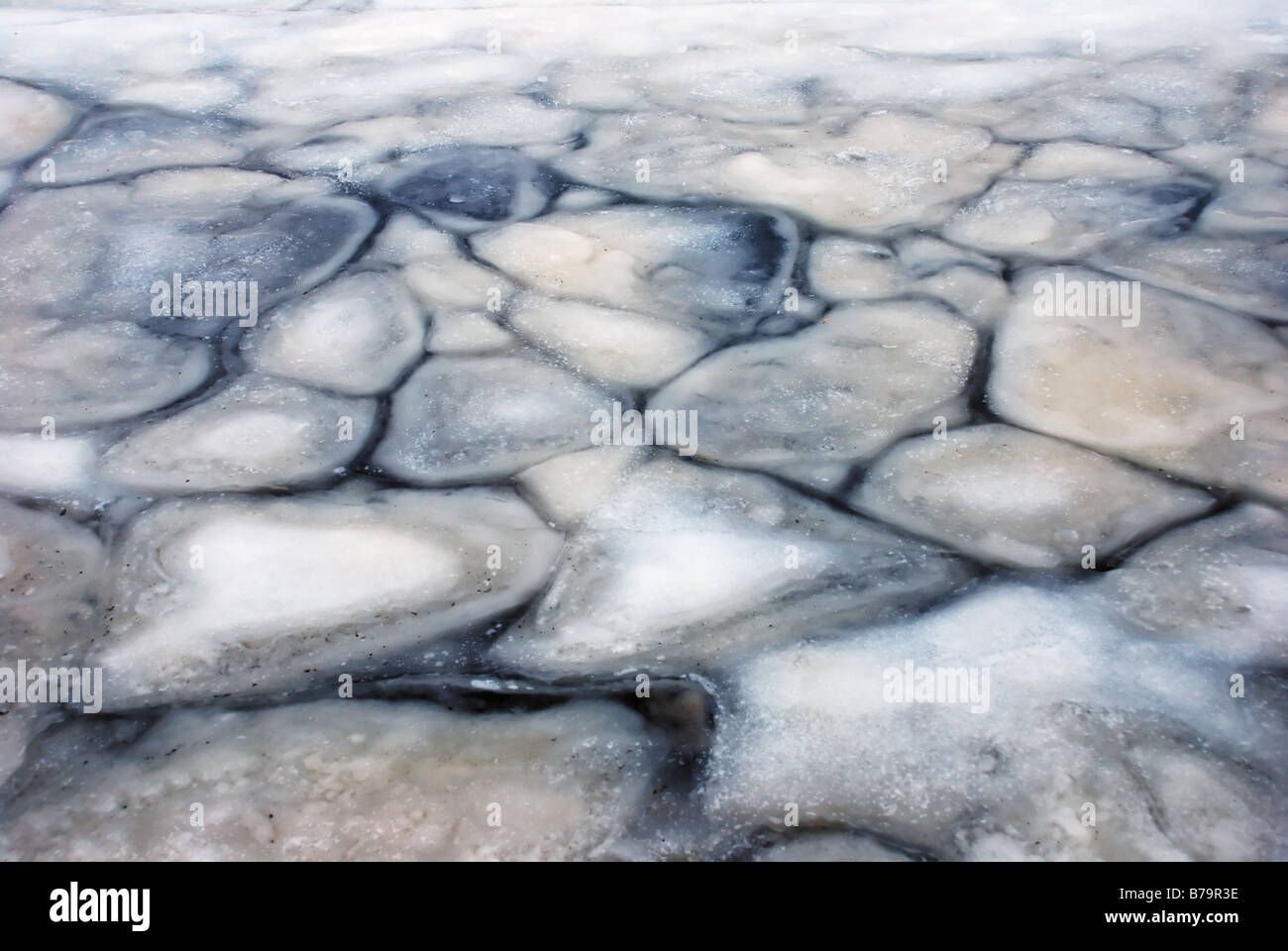 full frame ice field on the lake in winter Stock Photo - Alamy