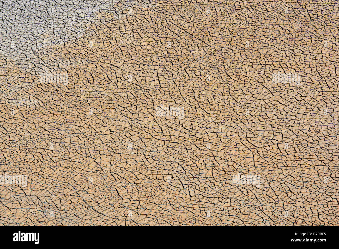 Texture of cracks in mud hi-res stock photography and images - Alamy