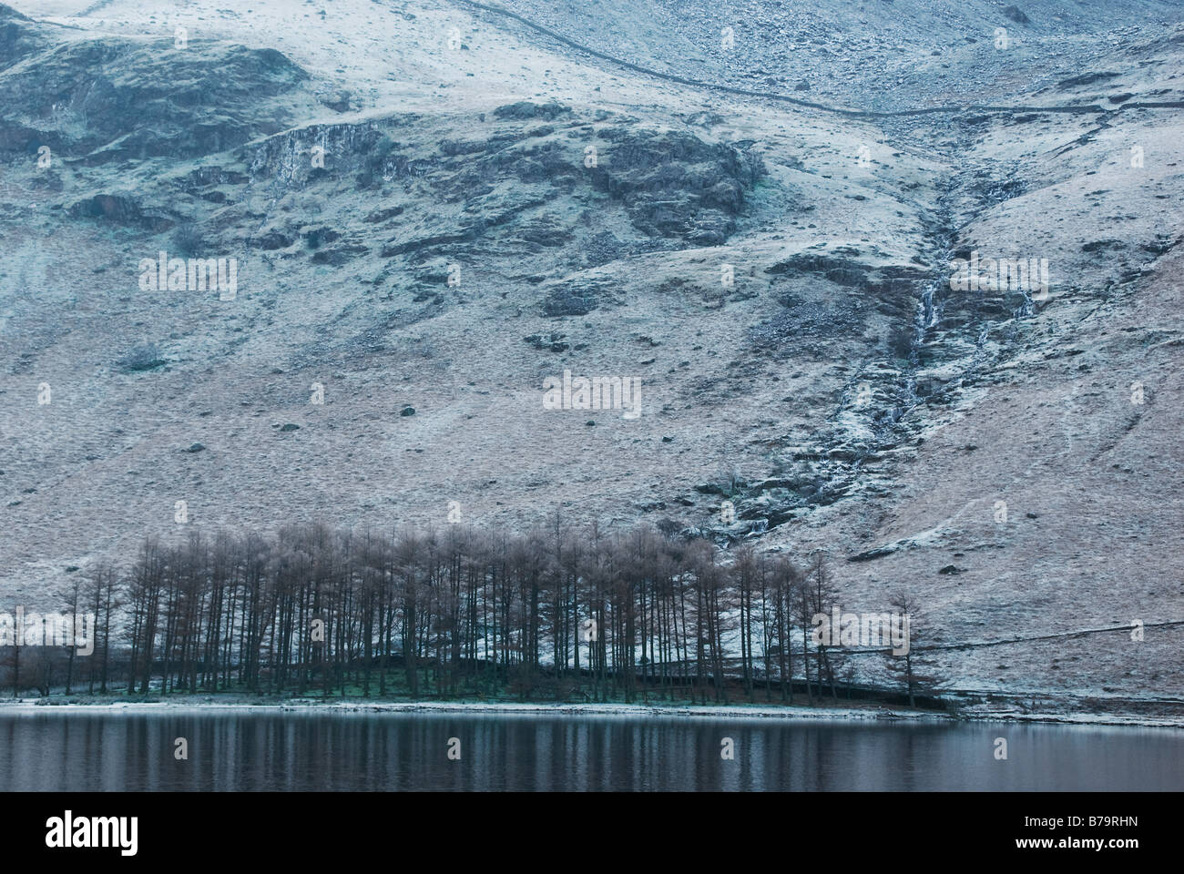 Burtness comb hi-res stock photography and images - Alamy