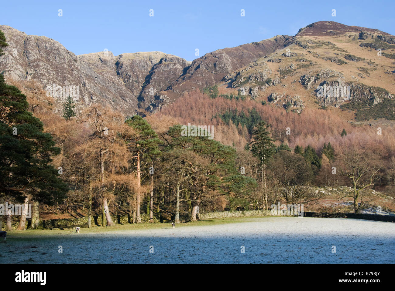Robinson from Hassness, Buttermere Stock Photo - Alamy