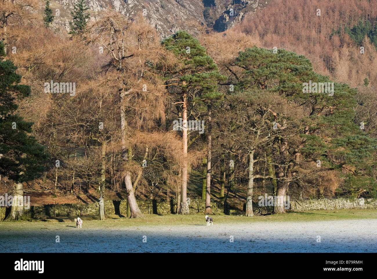 Hassness hi-res stock photography and images - Alamy