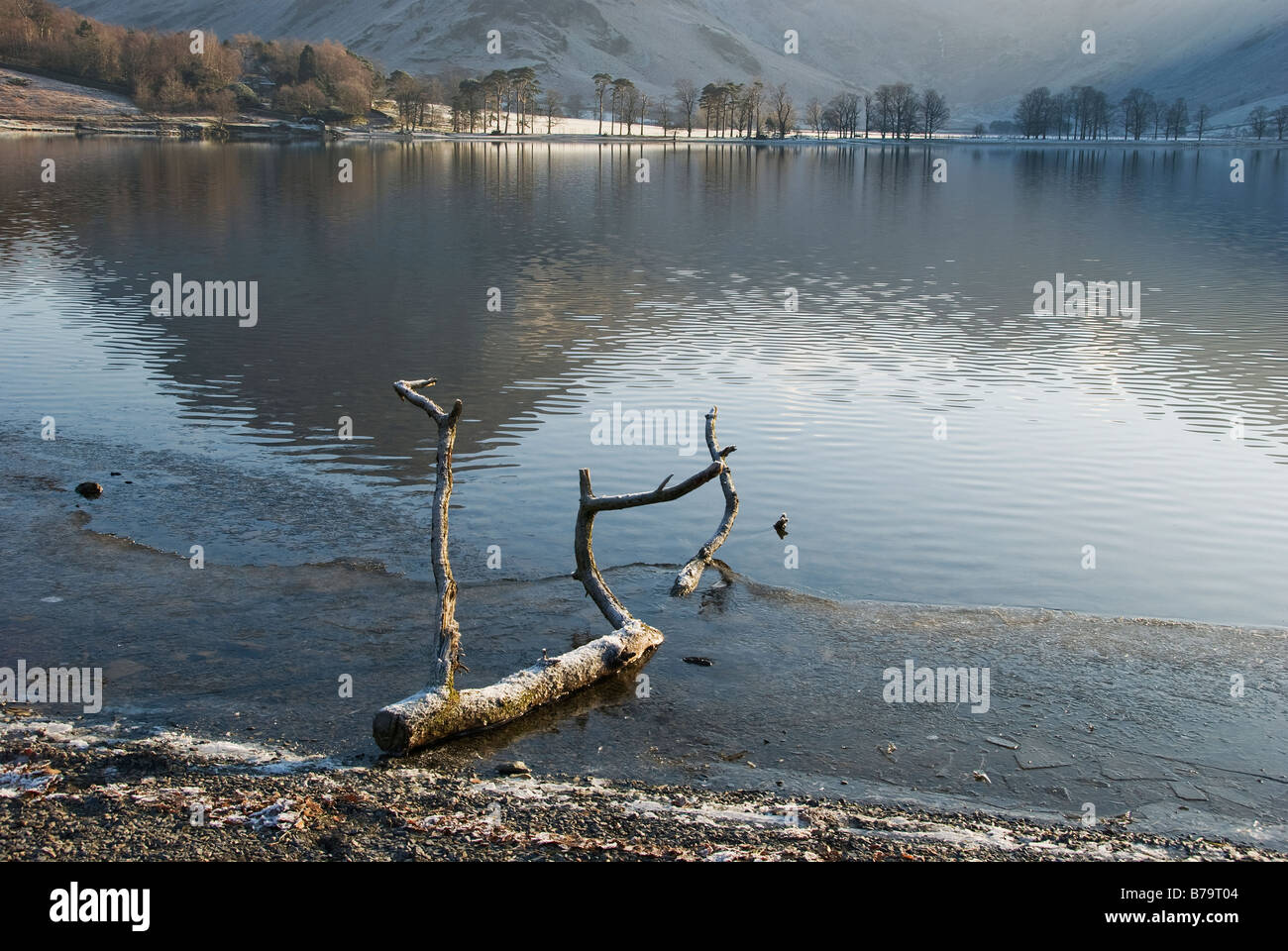 Hassness hi-res stock photography and images - Alamy