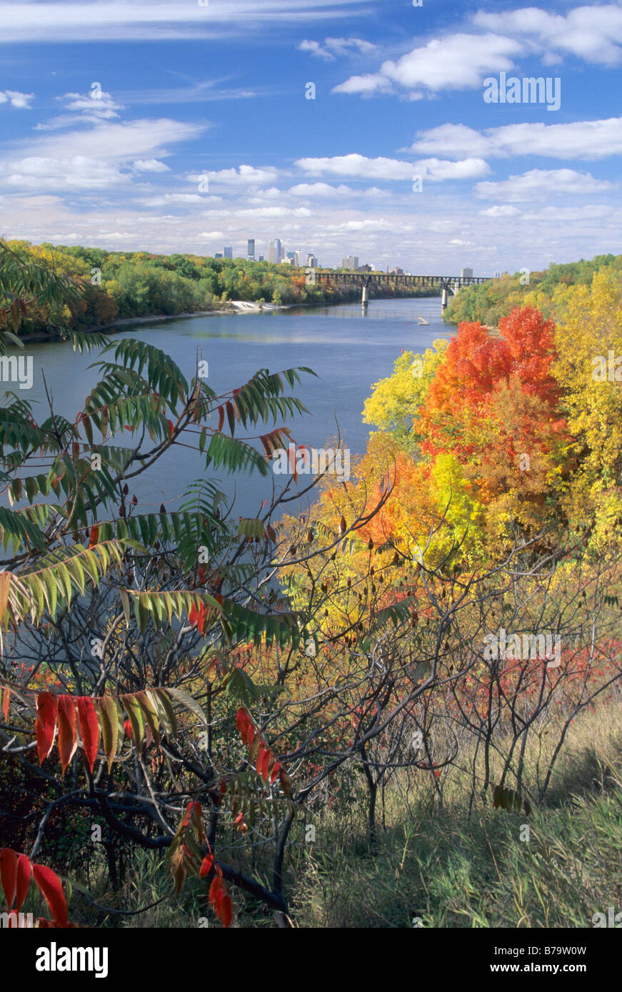 MISSISSIPPI RIVER, MINNEAPOLIS, MINNESOTA SKYLINE AND FALL COLORS FROM ...