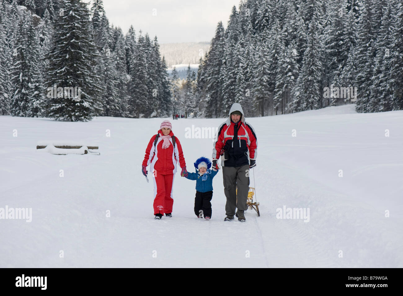 People hiking and strolling in Scenic and picturesque Dolina ...