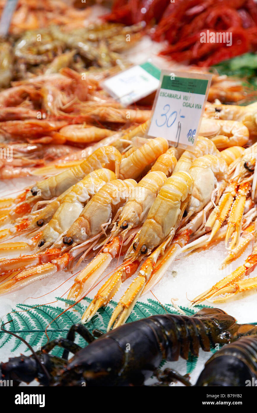 Shellfish assortment hi-res stock photography and images - Alamy