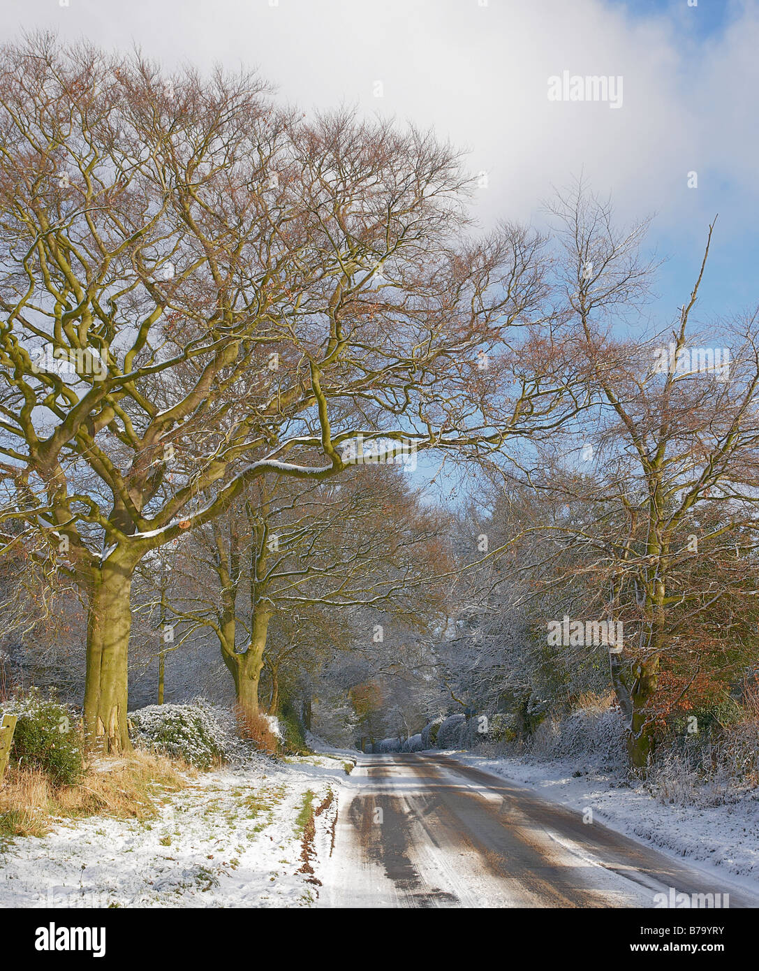 Snow scene at Lickey Hills, Worcestershire, England UK Stock Photo - Alamy
