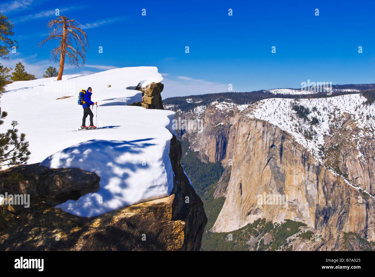 Backcountry skier at Taft Point Yosemite National Park California Stock ...