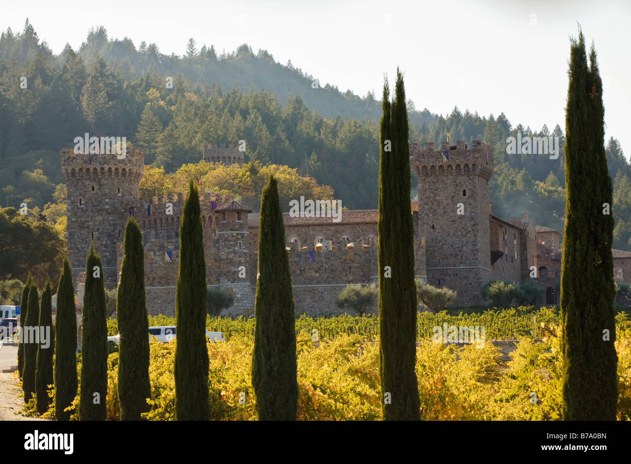 CASTELLO DI AMAROSA is a WINERY housed in an ITALIAN CASTLE located ...