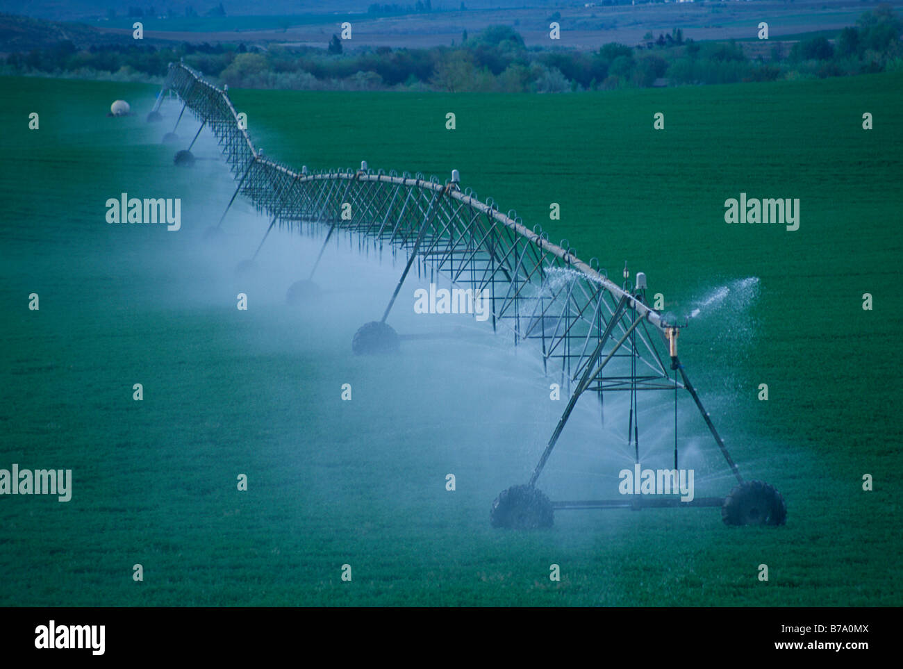 Central Pivot Irrigation Stock Photos & Central Pivot Irrigation Stock ...