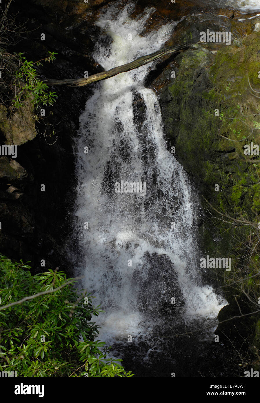 A waterfall deep in the woods Golspie Glen Sutherland northern Scotland ...