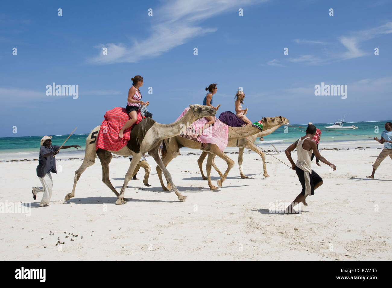 Camel race on sands Diani Beach Southern coast Mombasa Kenya Stock ...