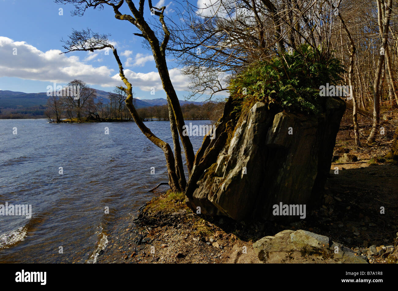 Big boulder trees and distant shoreline Loch Tay Perthshire Scotland UK ...