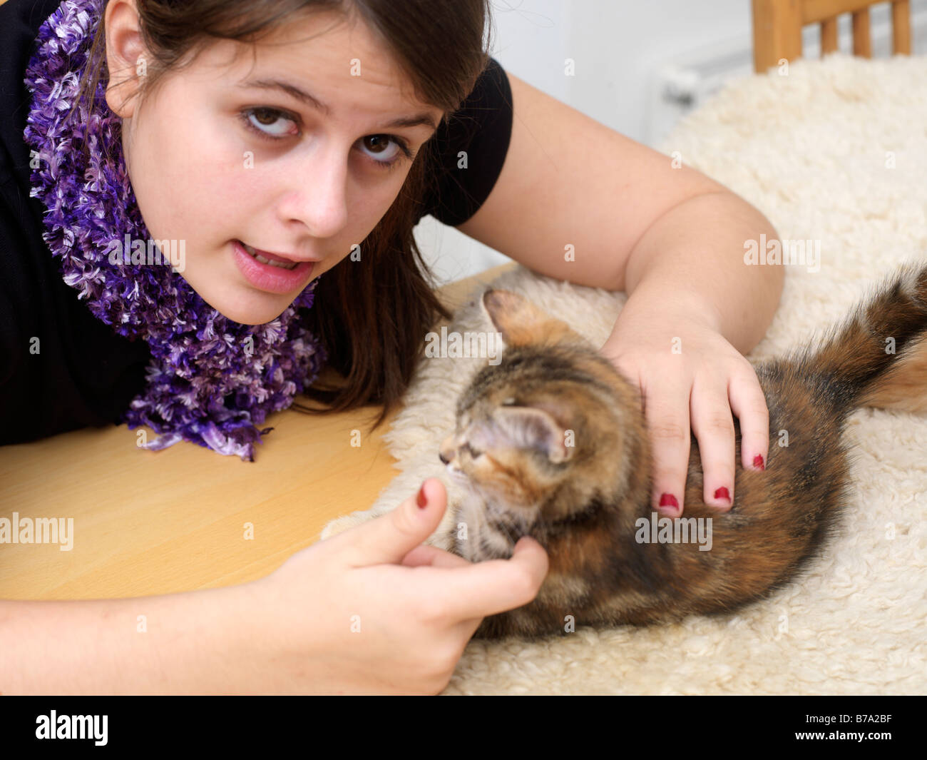 Teenage kitten hi-res stock photography and images - Alamy