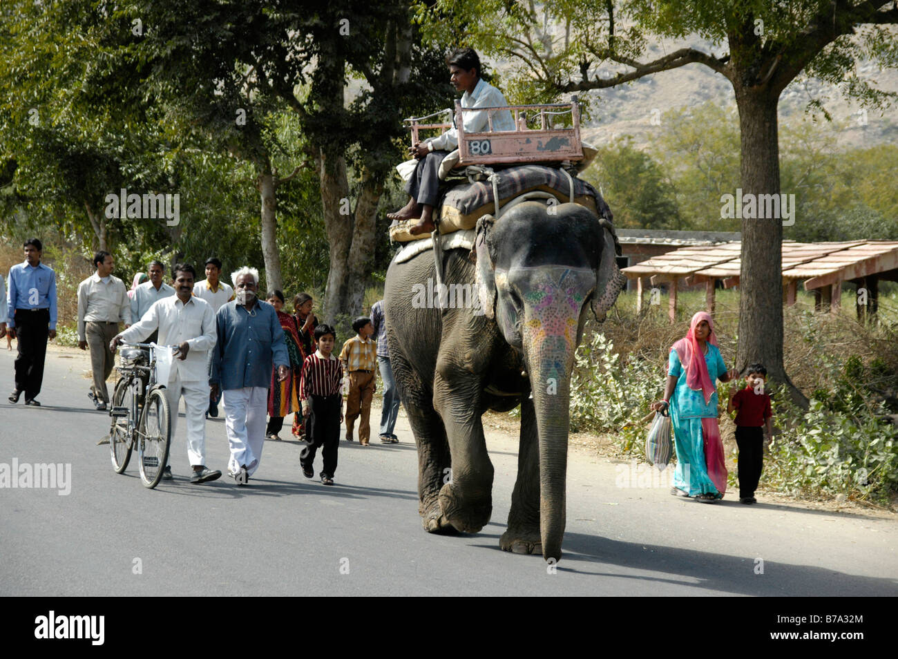 Gezahmter elefant hi-res stock photography and images - Alamy