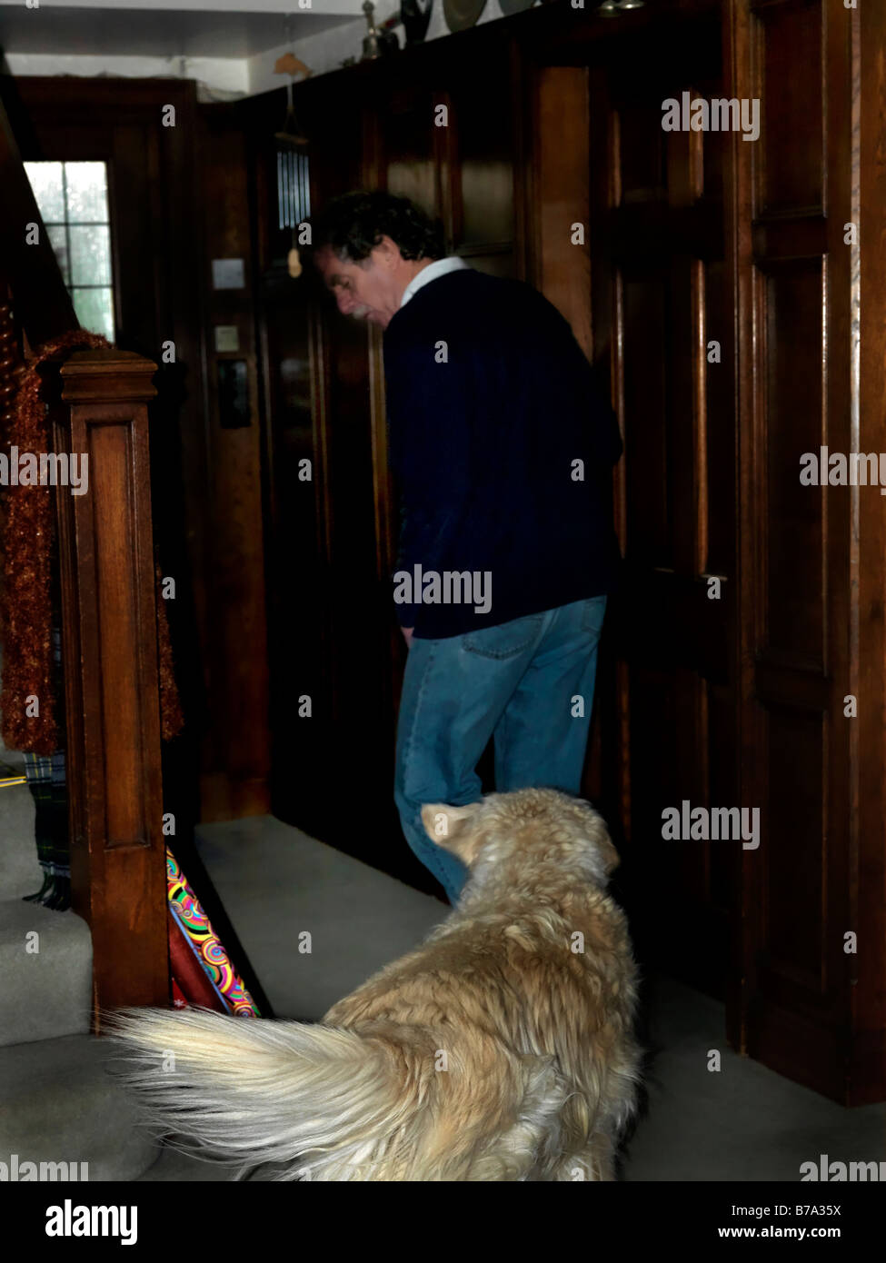 Dog Following Owner to the Front Door Stock Photo - Alamy