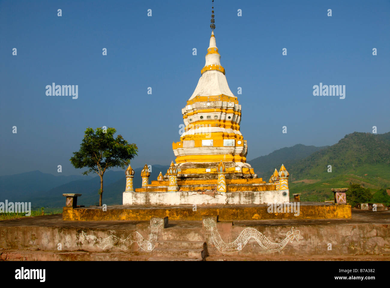 Buddhistischer baum hi-res stock photography and images - Alamy