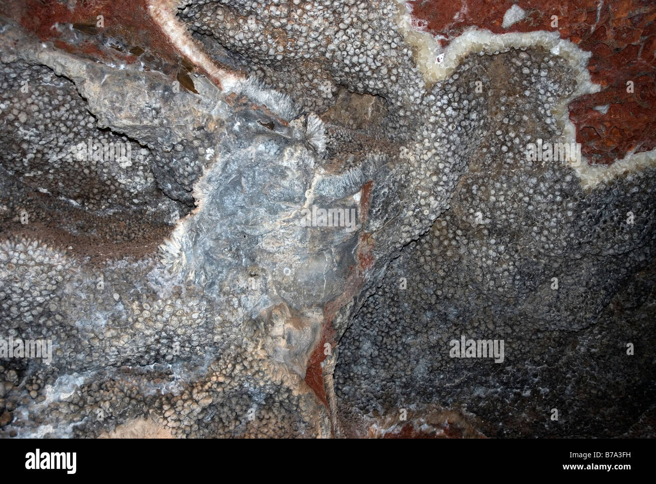 Nailhead spar hi-res stock photography and images - Alamy